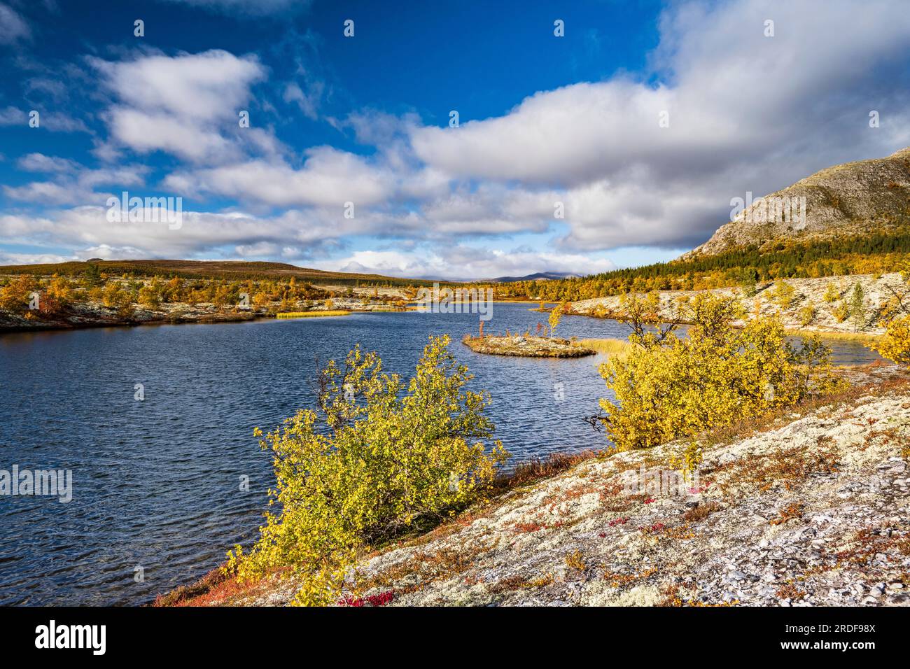 Lake in autumn landscape, Rondane National Park, Norway Stock Photo - Alamy