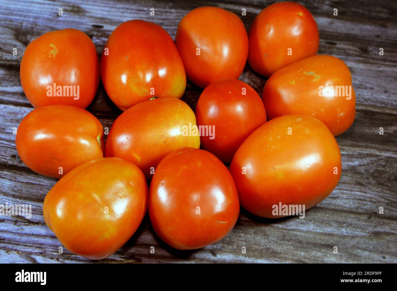 The Tomato, an edible berry of the plant Solanum lycopersicum, a ...