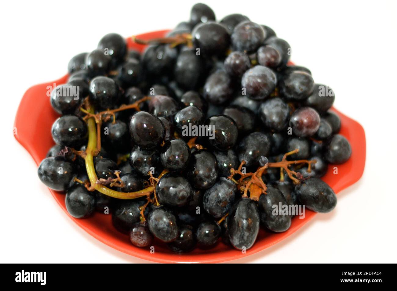 Black grapes, a fruit, botanically a berry of the deciduous woody vines ...