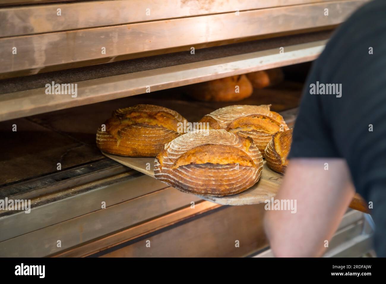Male employee baker of bakery in workshop workshop of artisan bakery removing baked bread from ...
