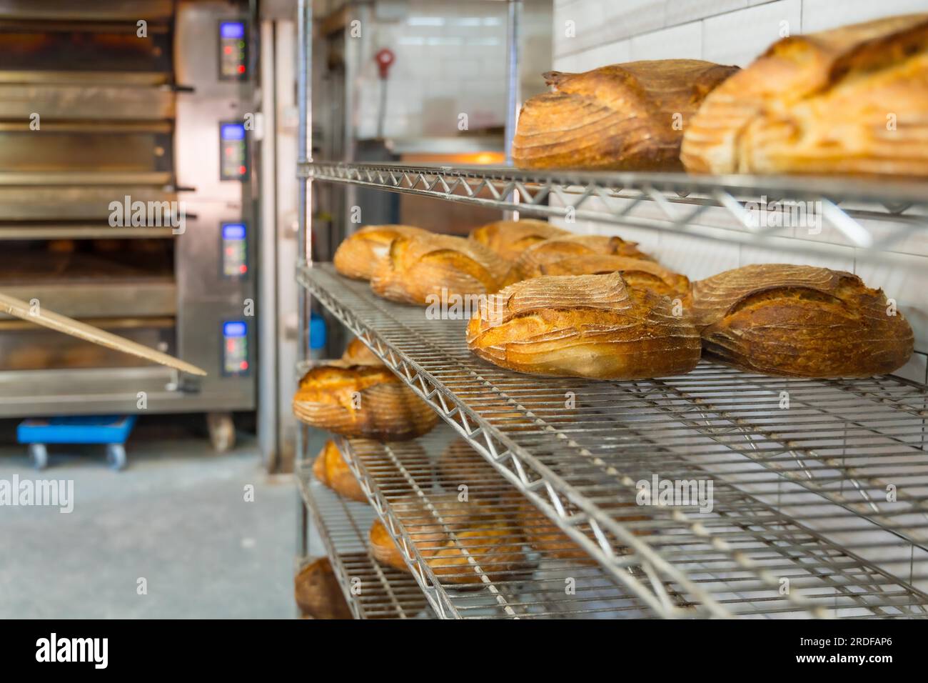 Male employee baker of bakery in the workshop workshop of artisan ...