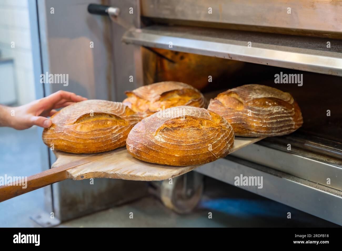 Baker employee of bakery in the workshop workshop of artisan bakery ...