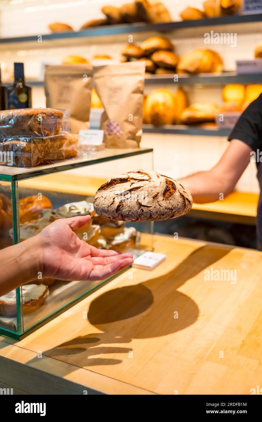 Vertical shot professional baker hi-res stock photography and images ...