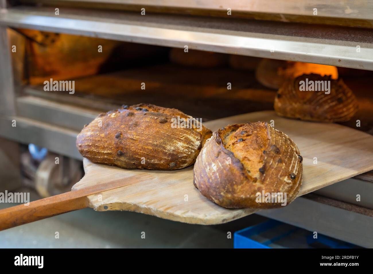 Baker employee of bakery in the workshop workshop of artisan bakery ...
