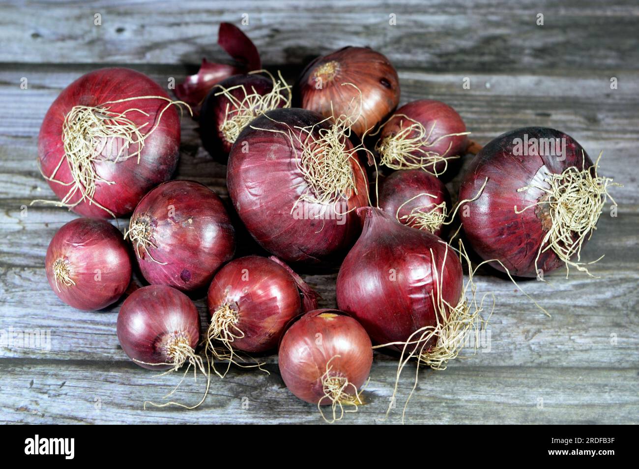 Blue onions hi-res stock photography and images - Alamy