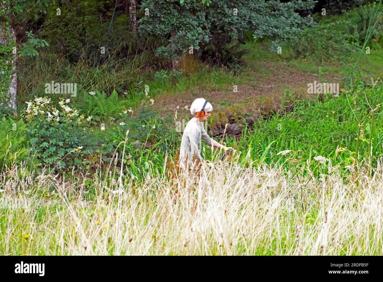 Woman noise mower hi-res stock photography and images - Alamy