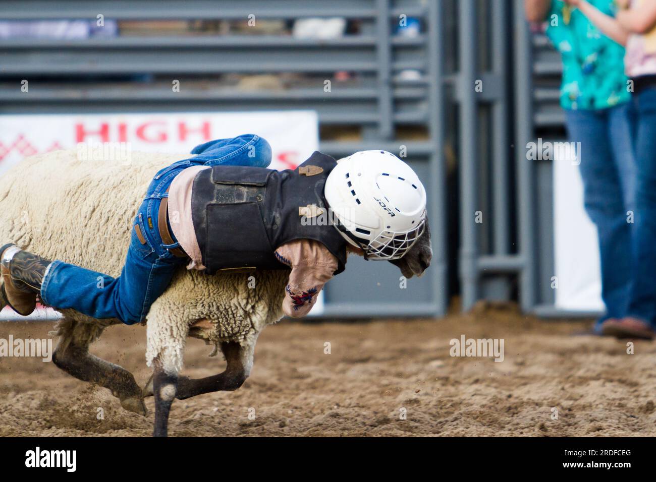 Rodeo mutton bustin hi-res stock photography and images - Alamy