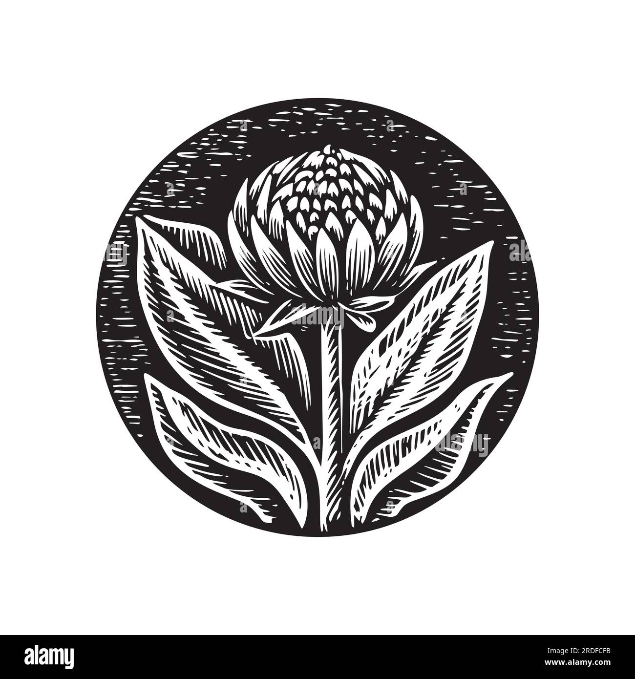Hand carved linocut hi-res stock photography and images - Alamy