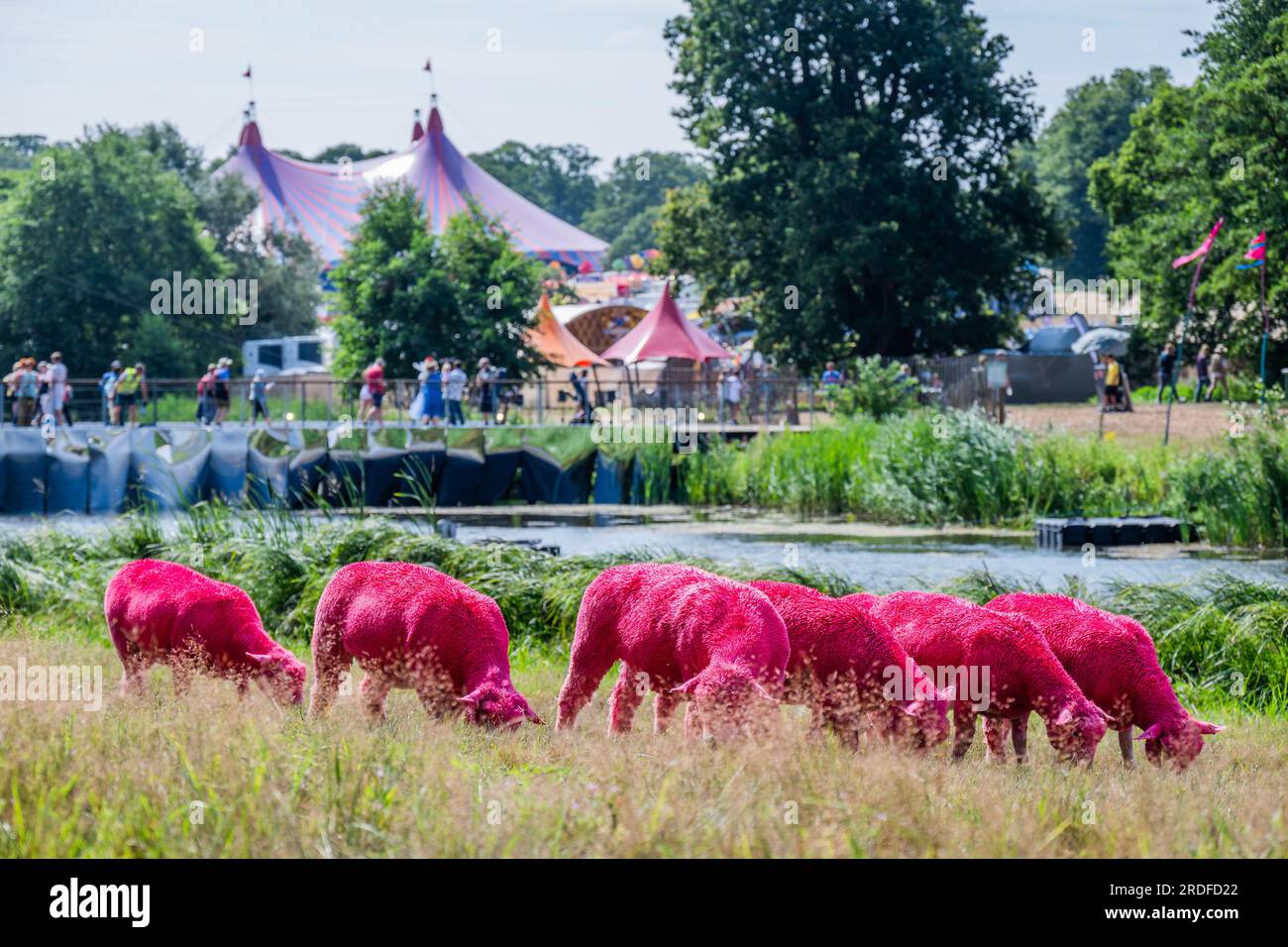 Henham Park, Suffolk, UK. 21st July, 2023. The famous Latitude pink ...