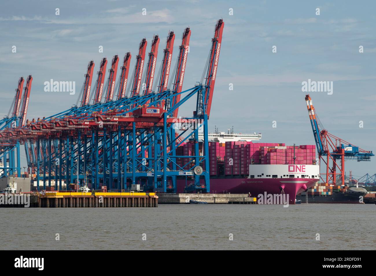 Pink container freighter One Innovation of the shipping company Ocean ...