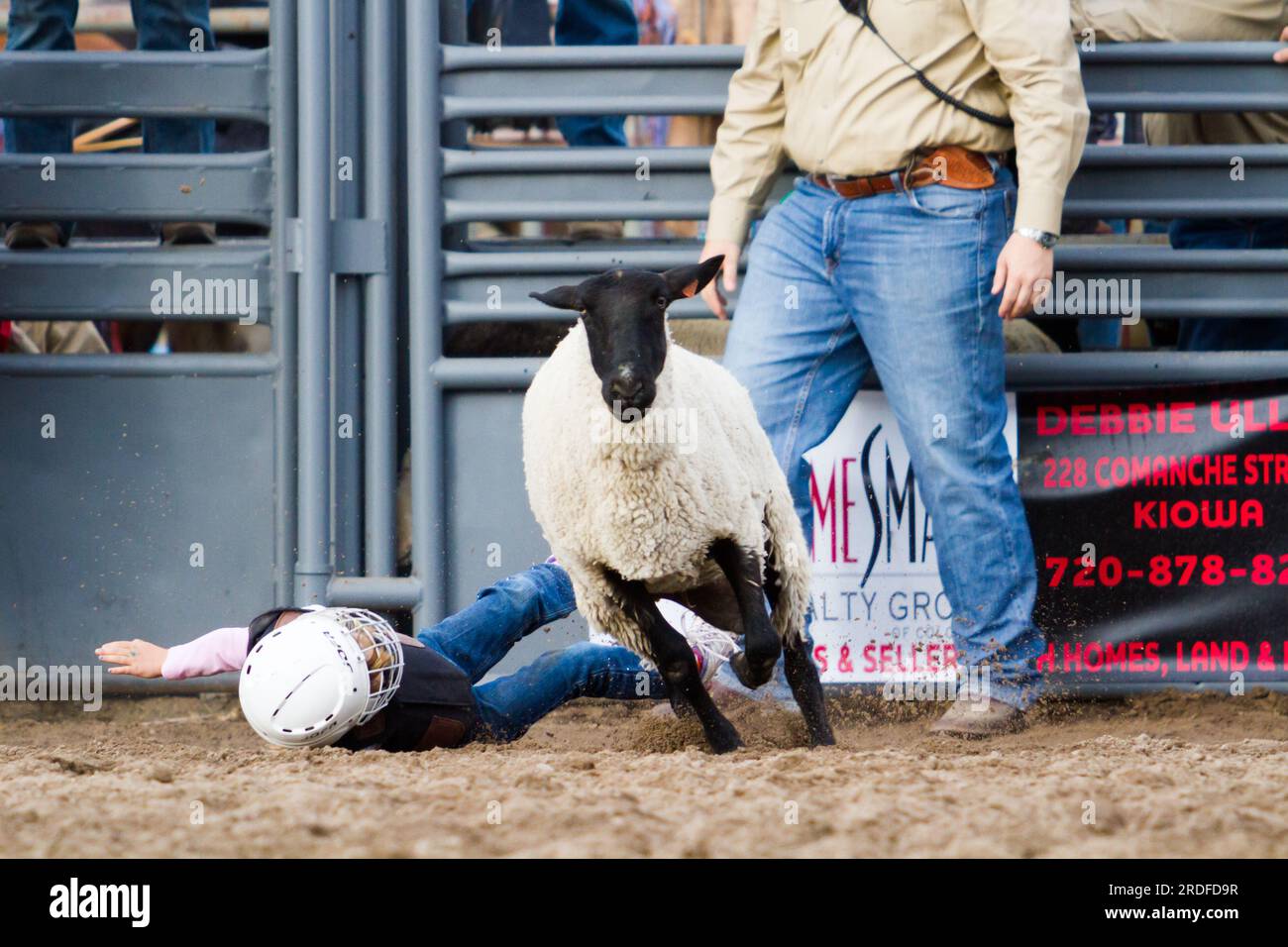 Rodeo mutton bustin hi-res stock photography and images - Alamy