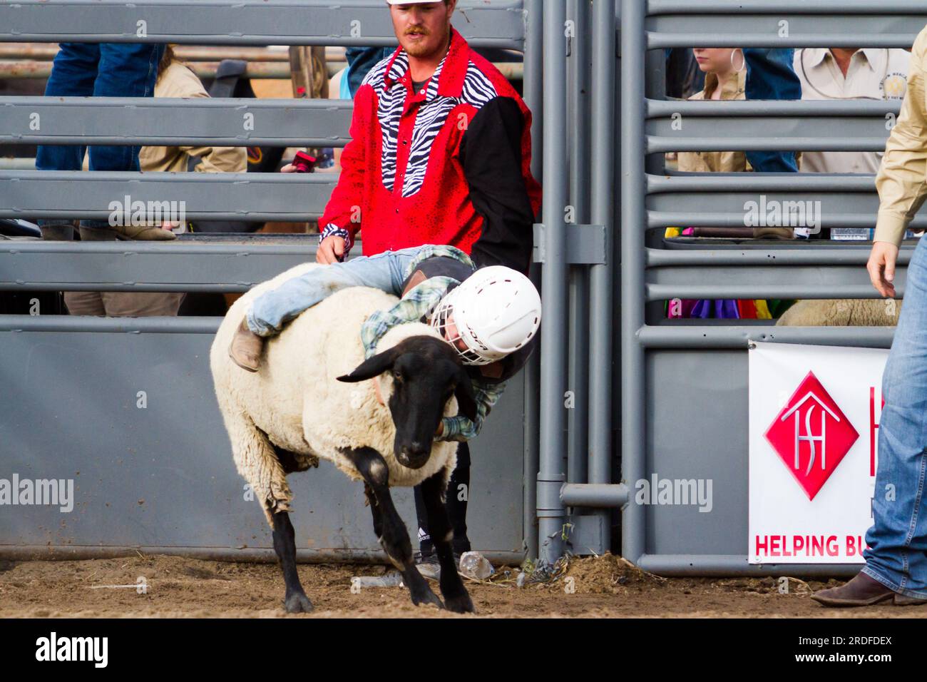 Rodeo mutton bustin hi-res stock photography and images - Alamy