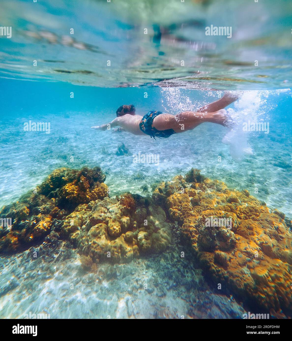 Diving teenage boy snorkeling over the coral reefs underwater photo in ...