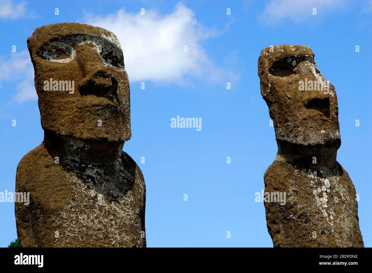 Moai stone sculptures (Roa (fish) ) Hanga, Rapa Nui, Easter Island ...