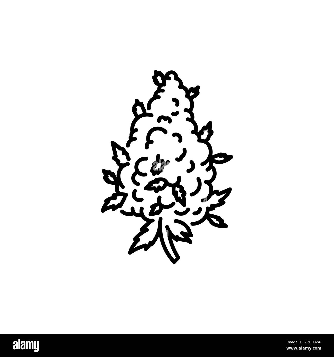 Hashish Stock Vector Images - Alamy