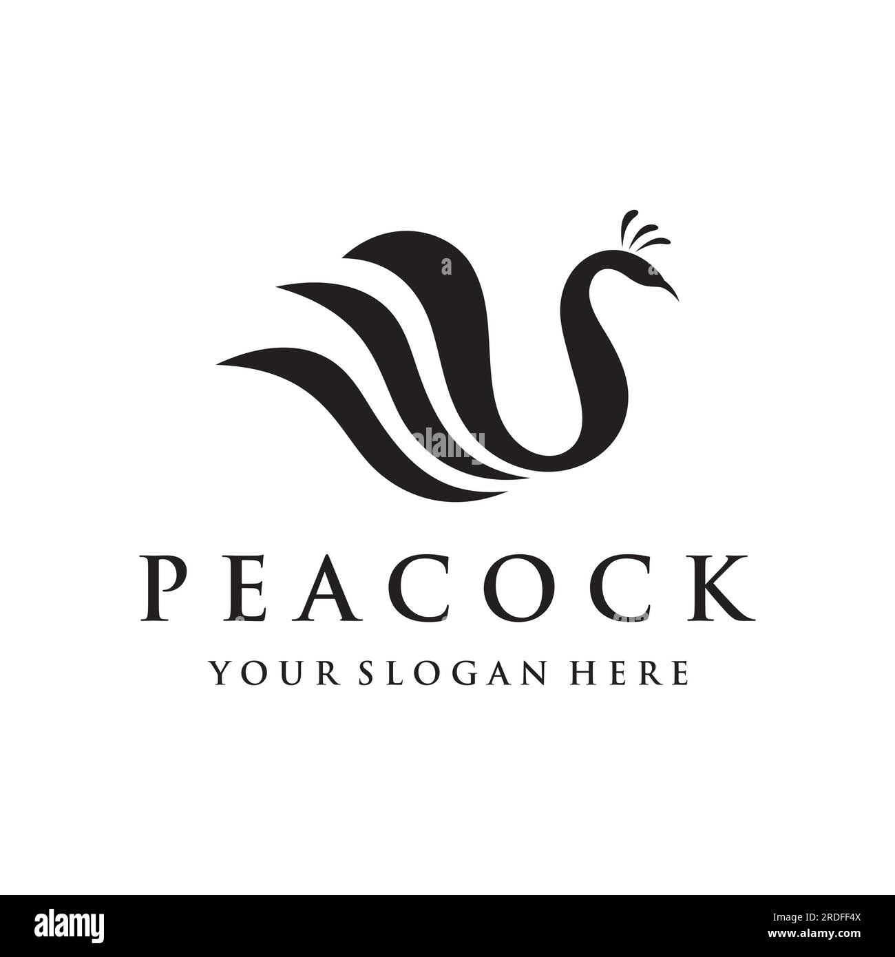 Creative peacock bird and peacock feather logo design-Vector ...