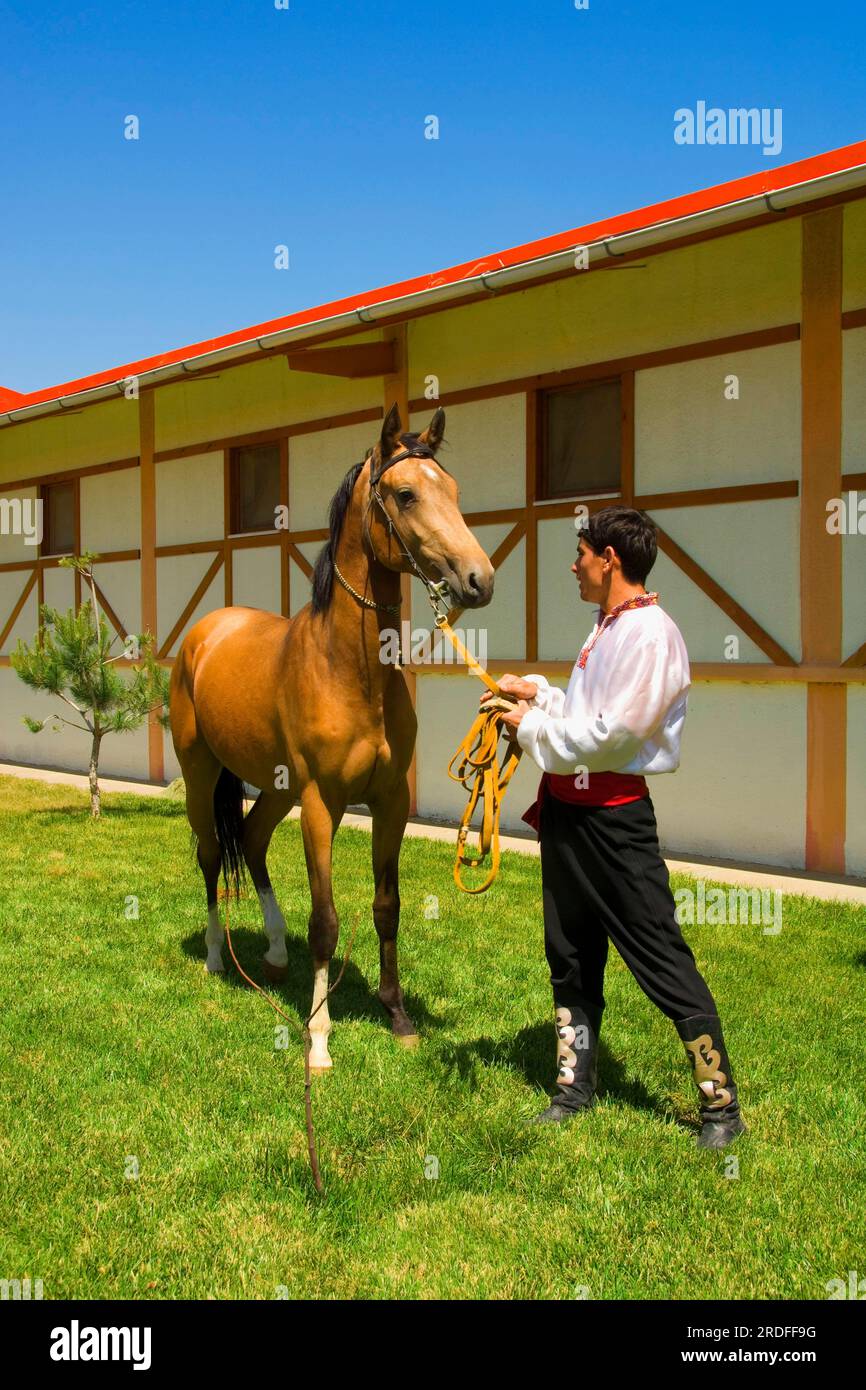 Man with Achal Tekkiner, horse stud, Ashgabat, Turkmenistan, Asgabat ...