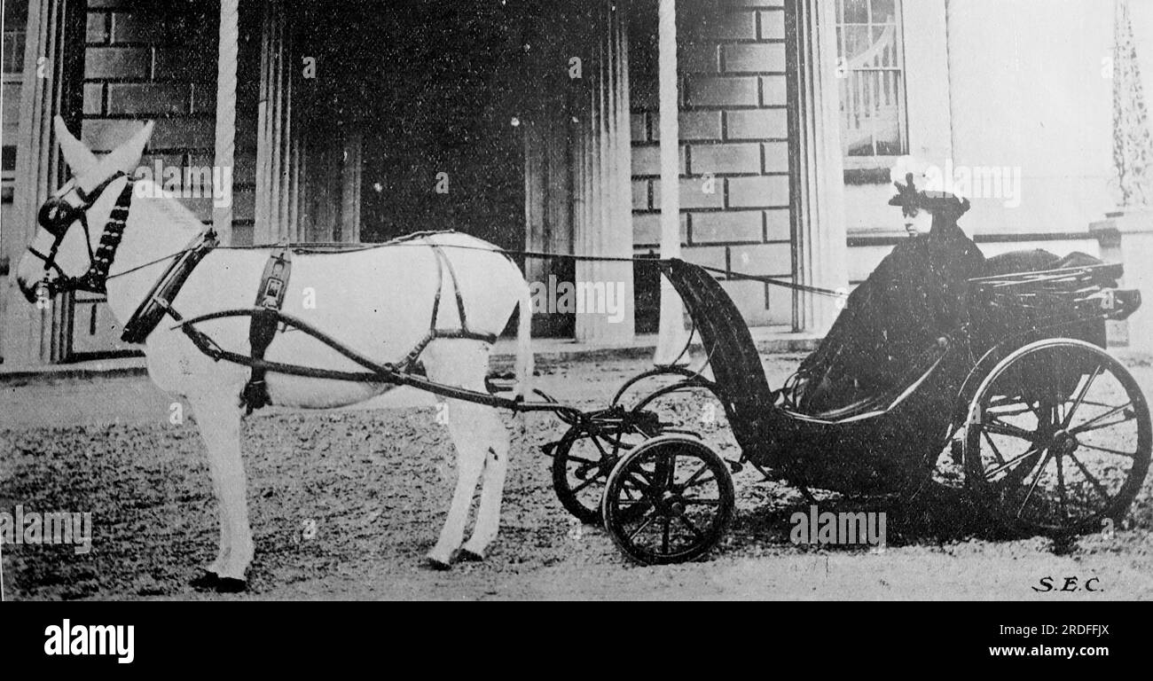 The late Queen Victoria in her donkey carriage at Osborne (Isle of ...