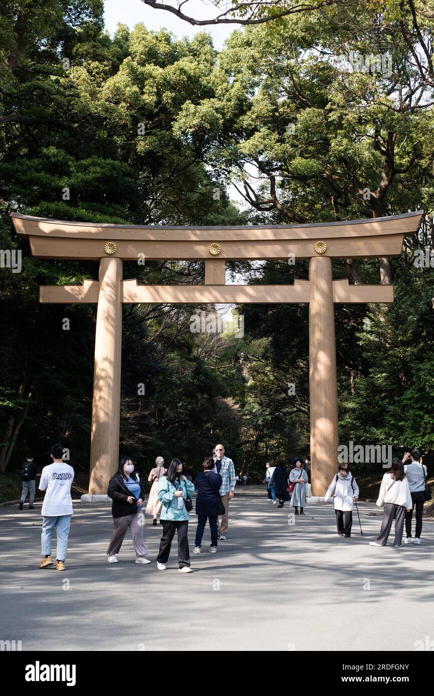 Meiji jingu ichino torii hi-res stock photography and images - Alamy
