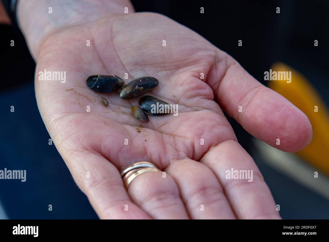 Nieuwpoort, Belgium. 18th July, 2023. Illustration picture shows a hand ...