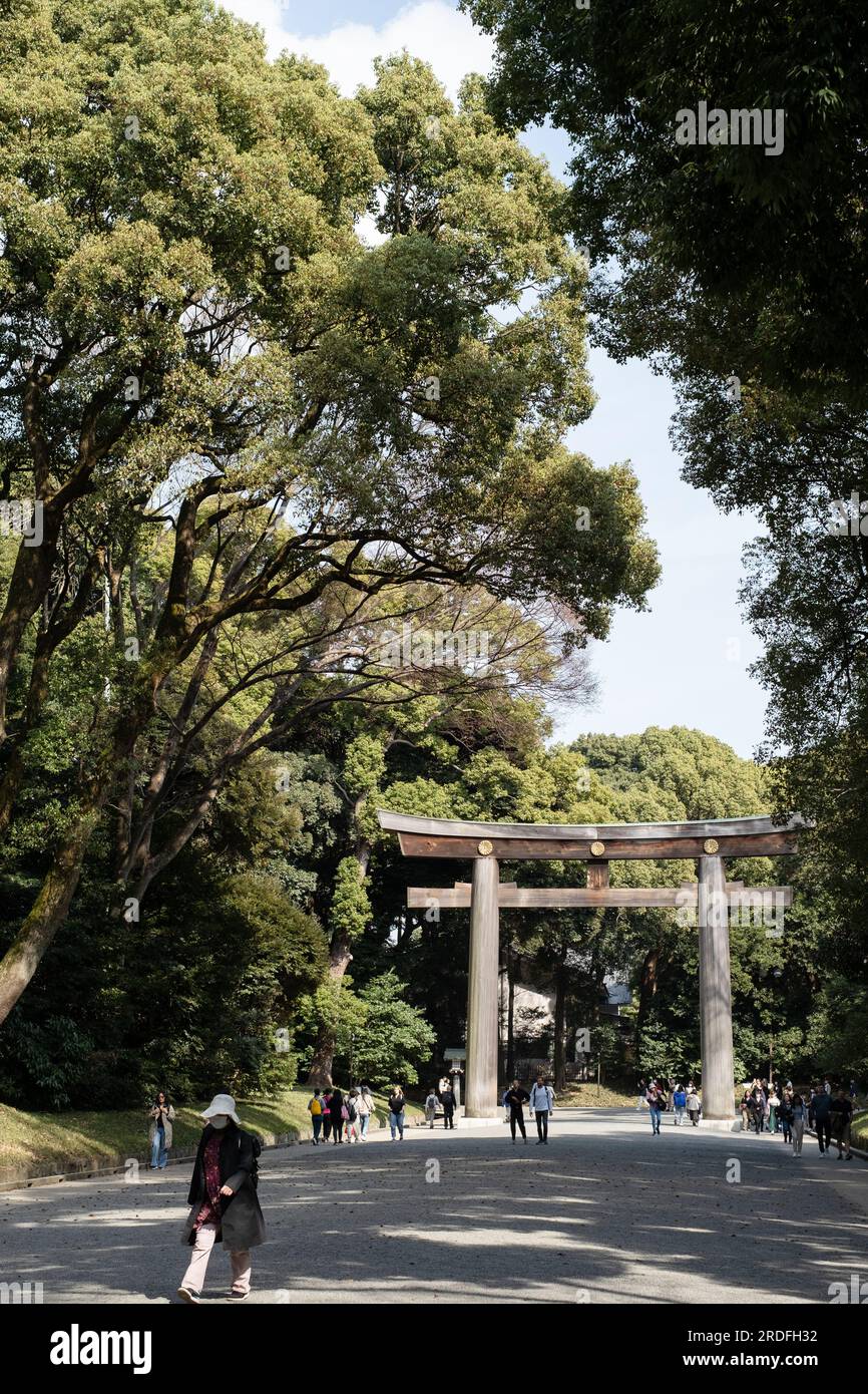 Torii on the path to Meiji Jingu Shrine, Harajuku, Japan Stock Photo ...