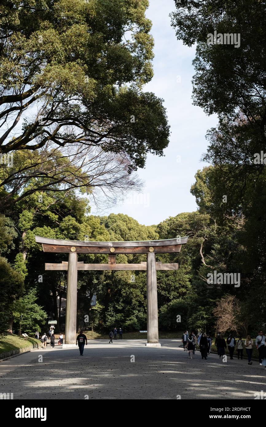 Torii on the path to Meiji Jingu Shrine, Harajuku, Japan Stock Photo ...