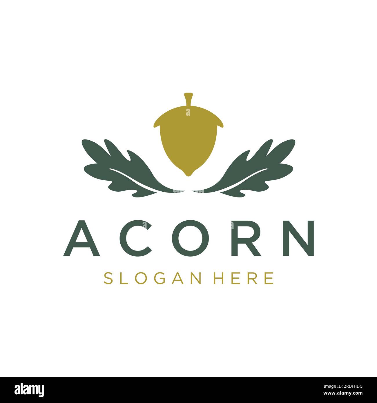 Acorn logo design with leaves with vector illustration editing Stock ...