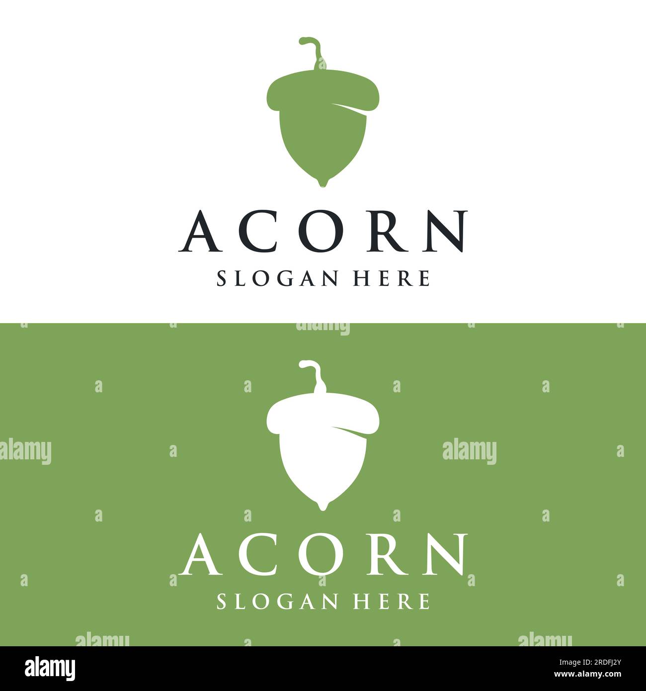 Acorn logo design with leaves with vector illustration editing Stock ...