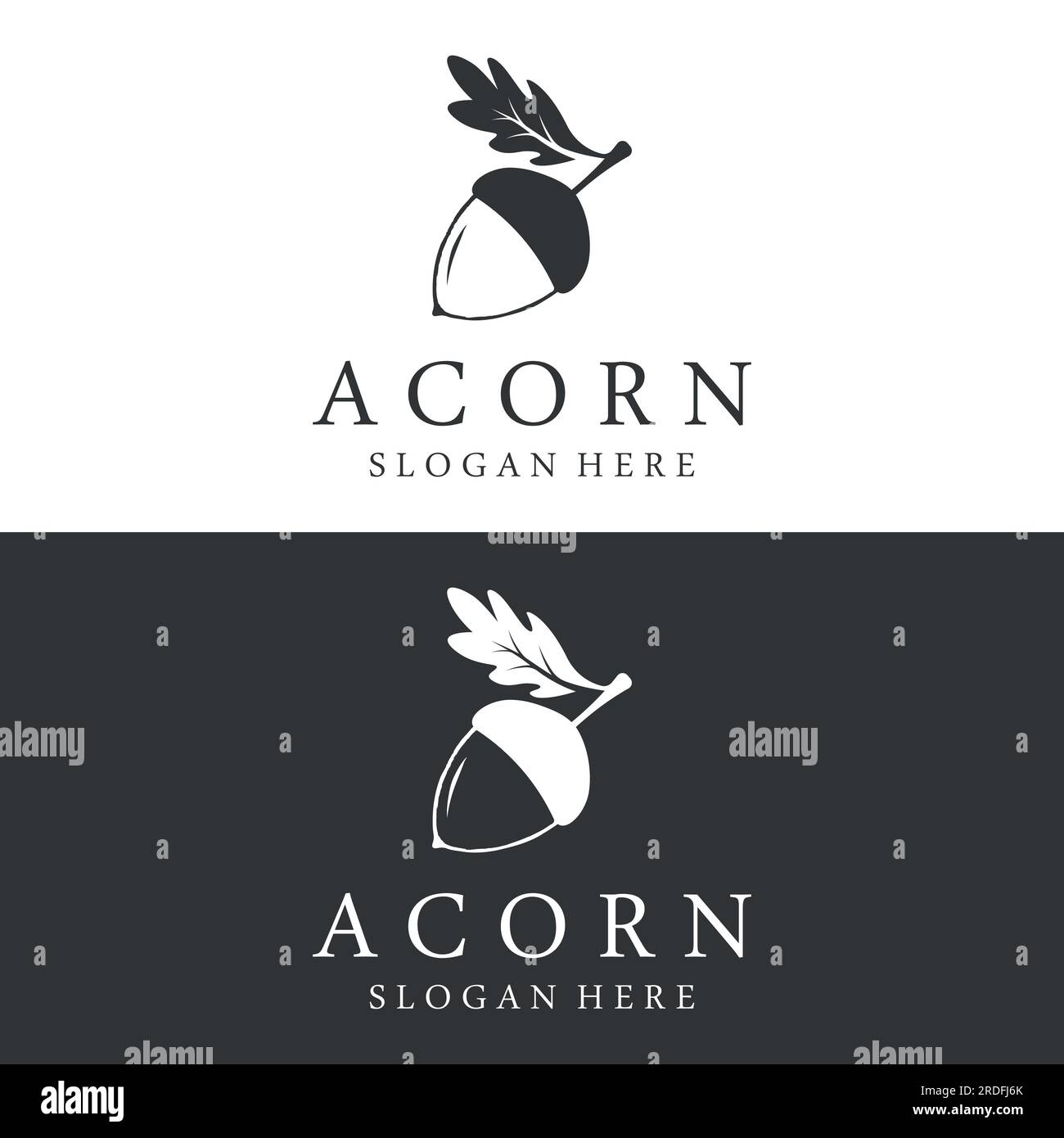 Acorn logo design with leaves with vector illustration editing Stock ...
