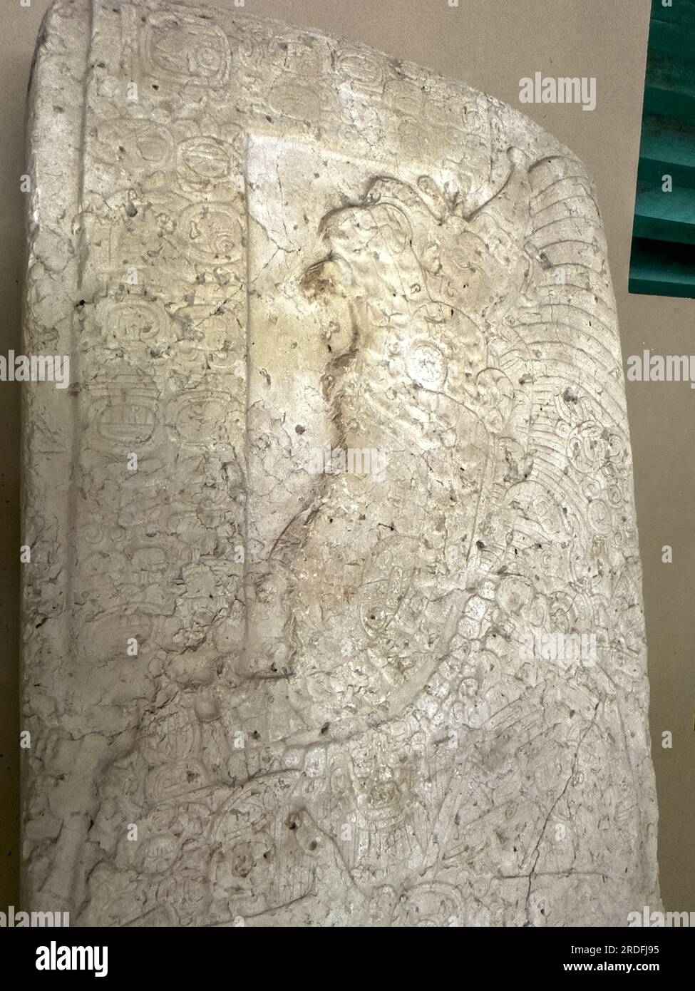 Stela 9, a carved stone stela from Structure N10-27 in the Mayan ruins ...