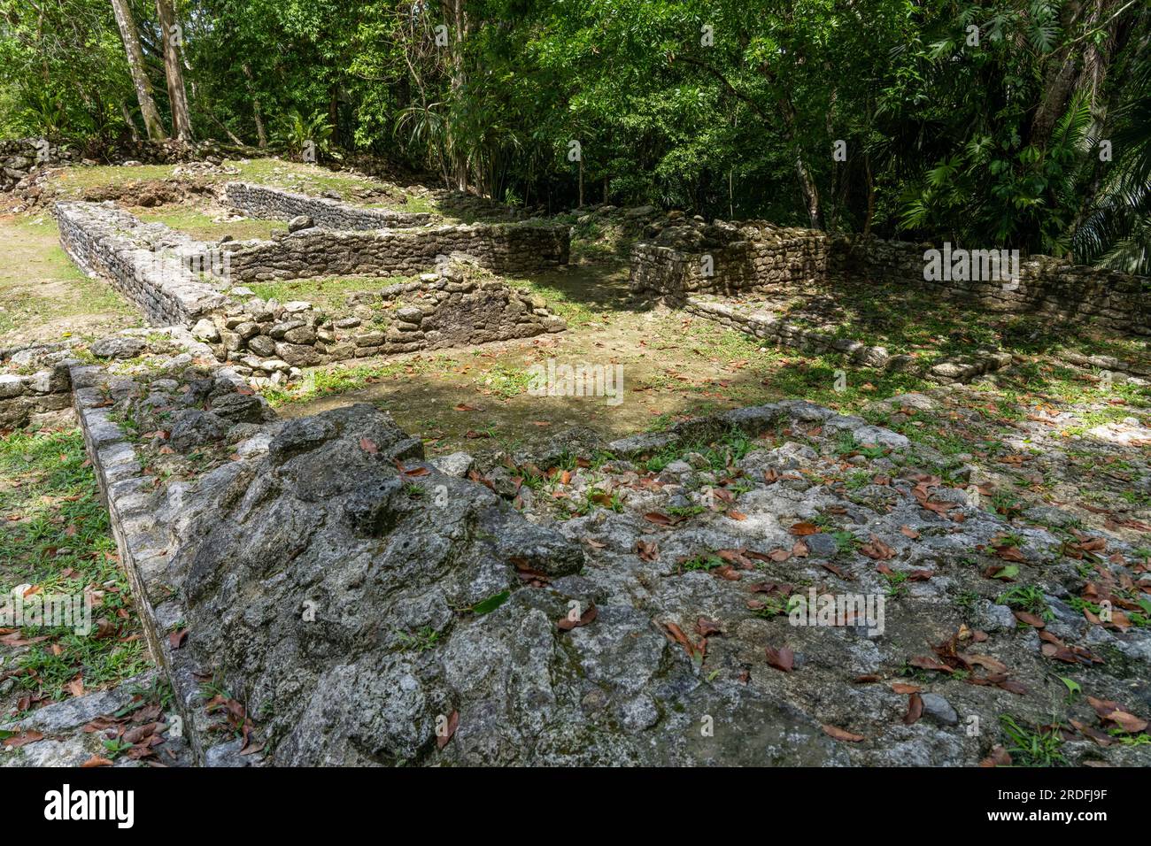 A residential complex for the elite in the Mayan ruins in the Lamanai ...