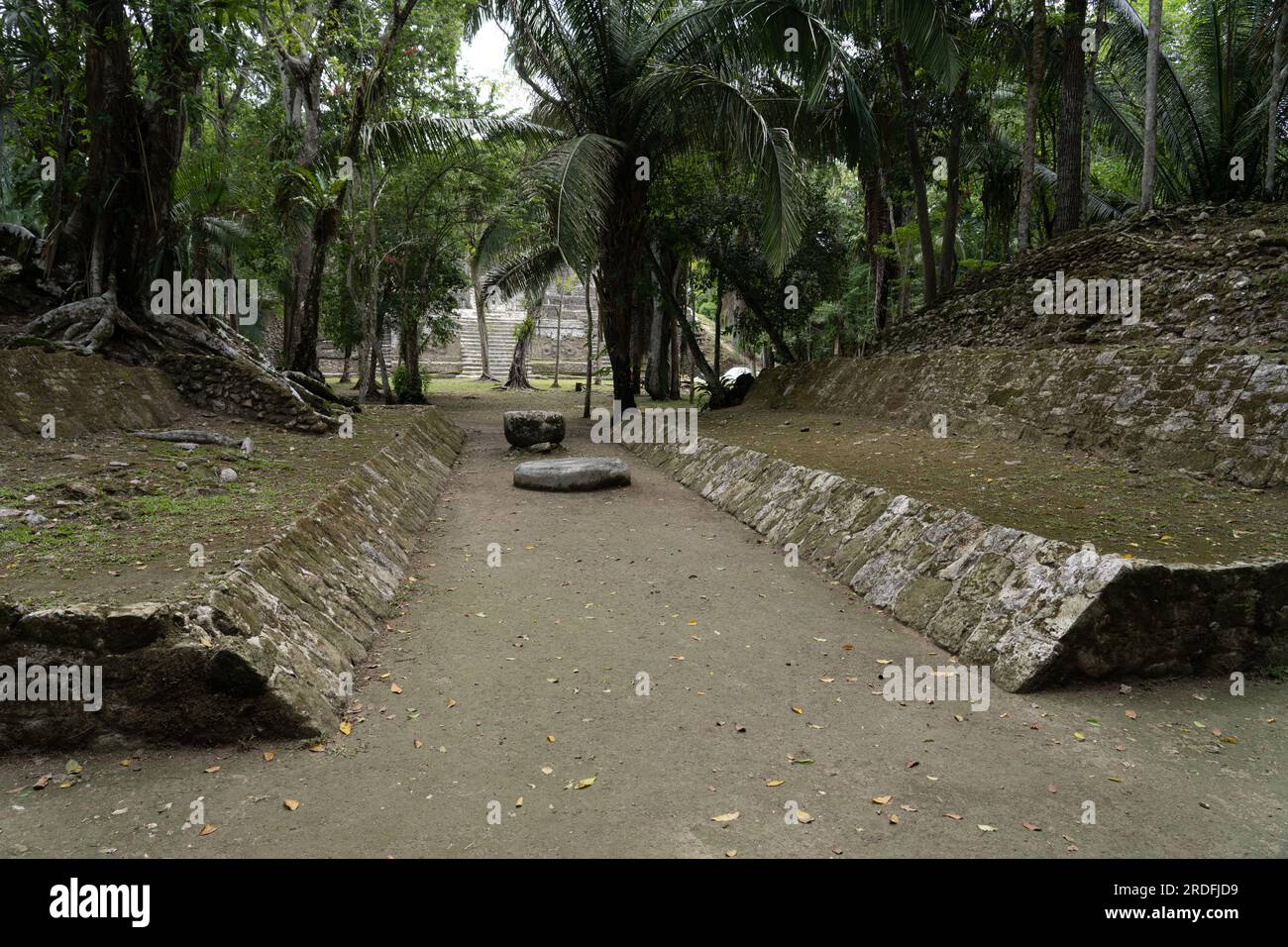 The ceremonial ball court in the ruins of the Mayan city in the Lamanai ...