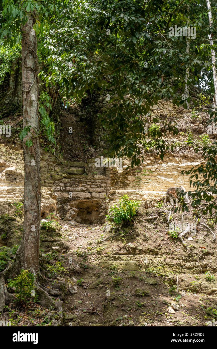 Archeological excavation in progress on a Mayan pyramid in the ruins in ...