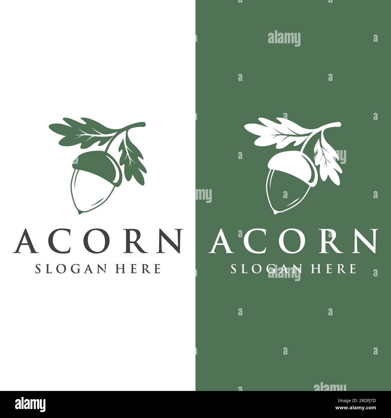 Acorn logo design with leaves with vector illustration editing Stock ...