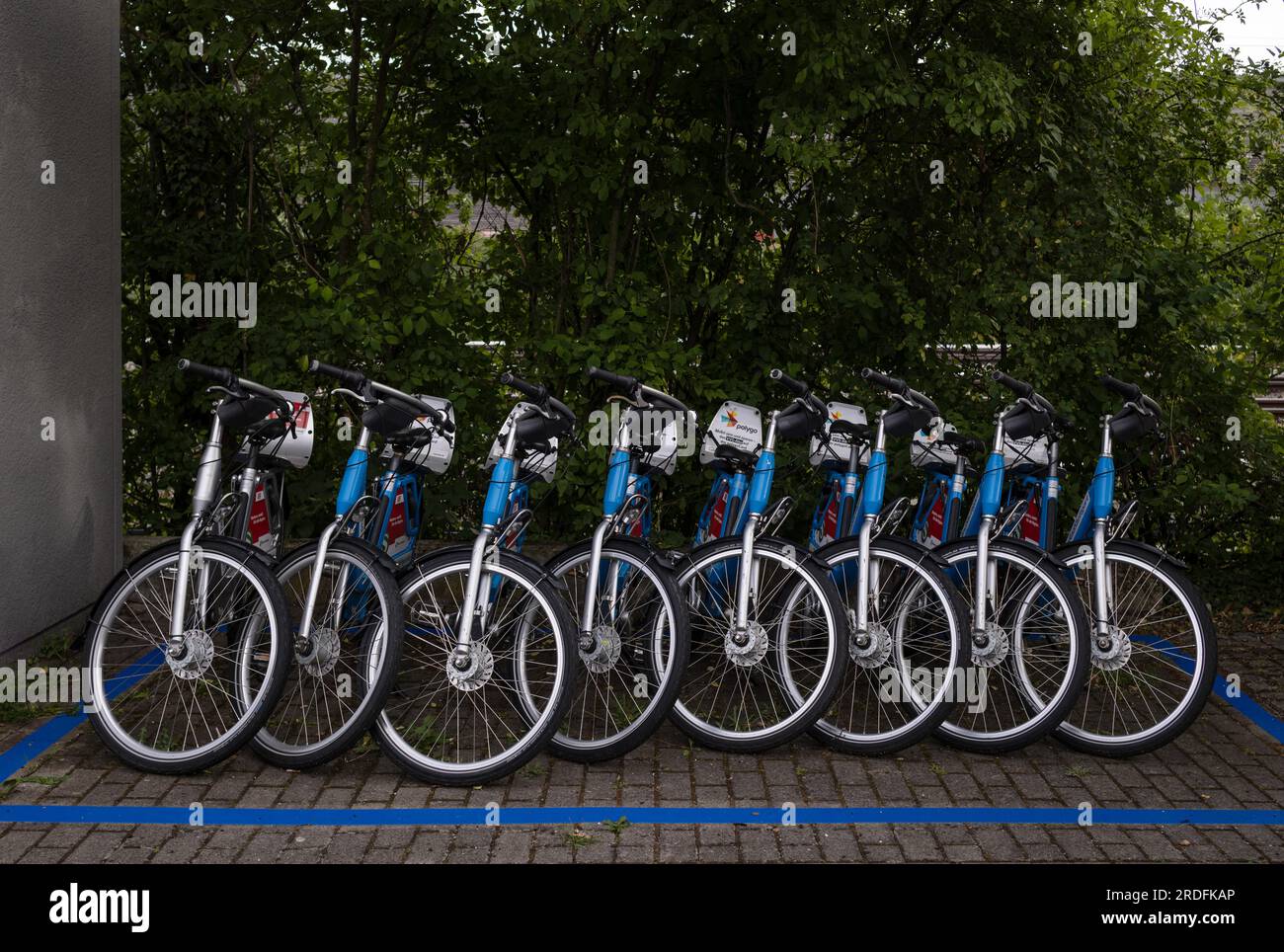 Bicycles for hire, rental bikes, e-bikes of the bicycle and pedelec ...