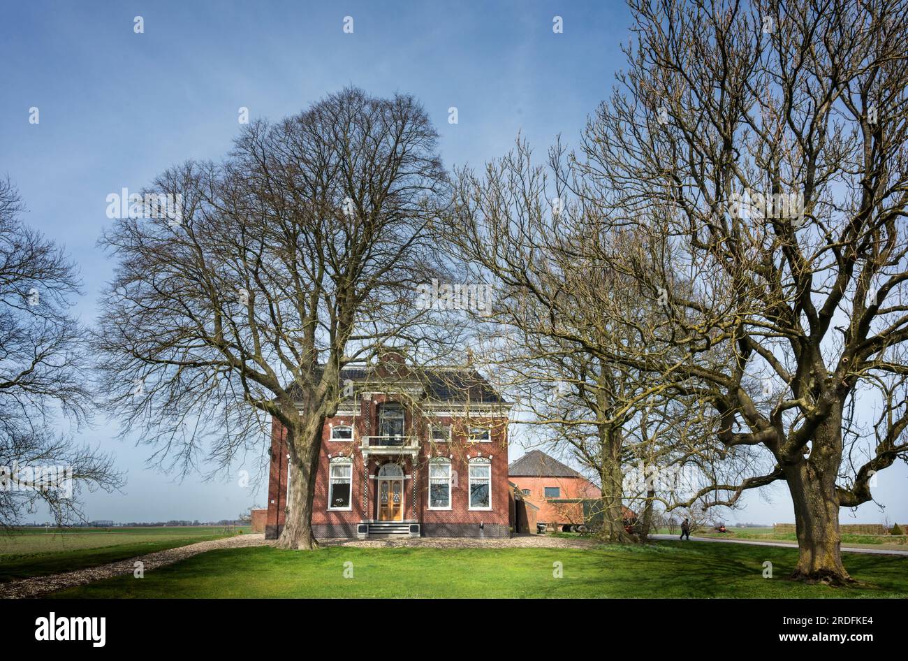 Farm in Nieuw Beerta, the Netherlands, 04-07-2018 Stock Photo - Alamy