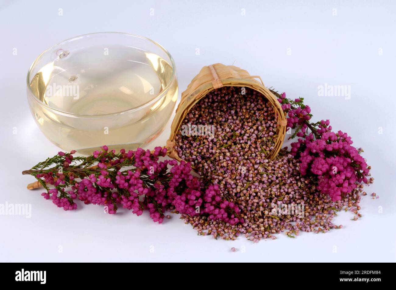 Cup of heather tea, dried flowers (Erica Stock Photo - Alamy