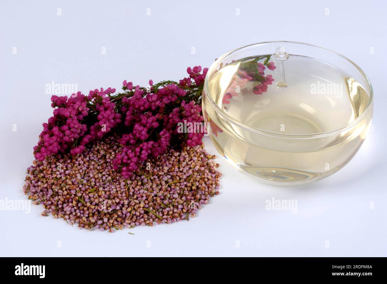 Cup of heather tea, dried flowers (Erica Stock Photo - Alamy