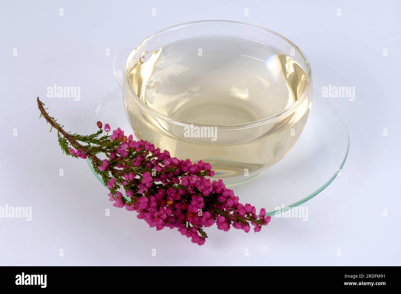 Erica cutout hi-res stock photography and images - Alamy