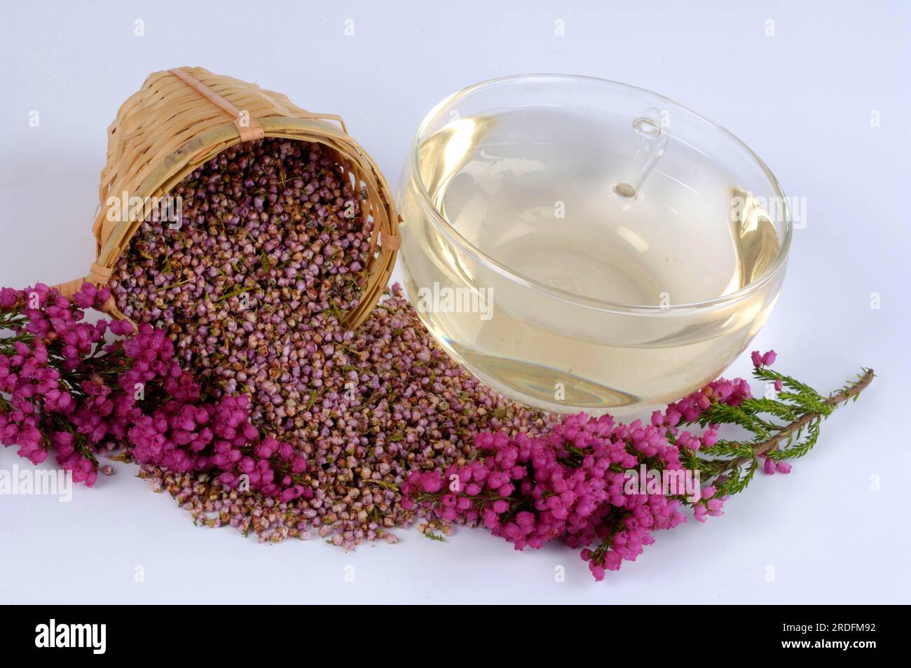 Cup of heather tea, dried flowers (Erica Stock Photo - Alamy