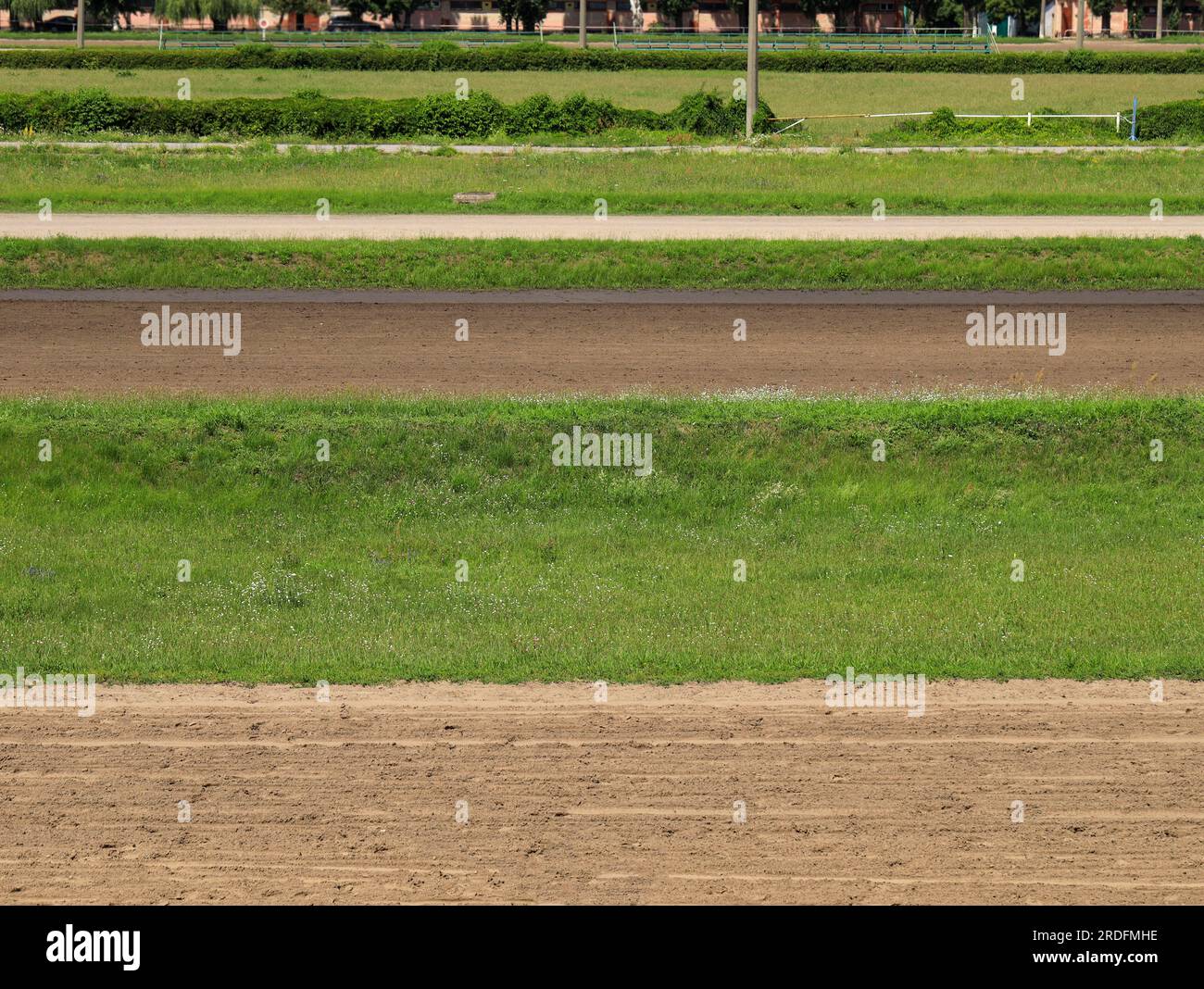 Soil and green juicy grass background in the city. Field with fresh ...