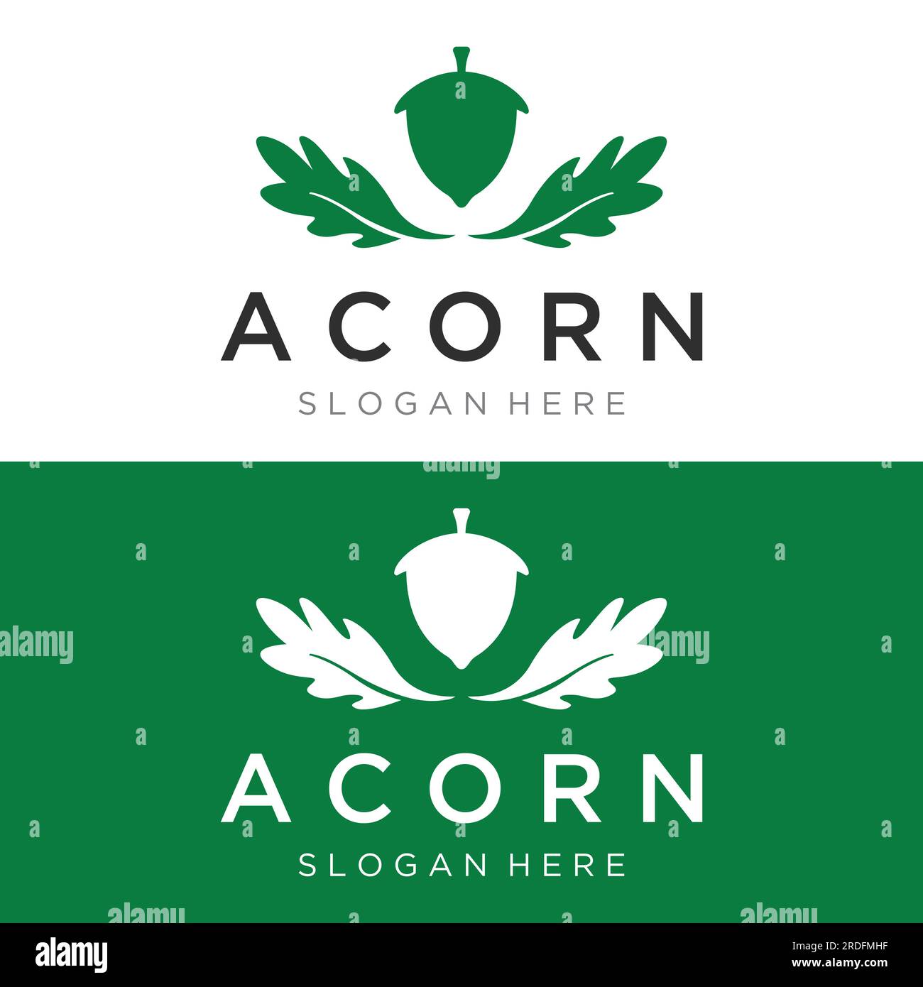 Acorn logo design with leaves with vector illustration editing Stock ...
