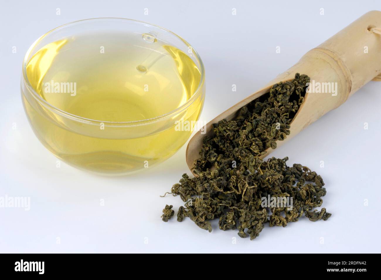 Cup of Jiao Gu Lan Tea, Lady Ginseng, Jiaogulan (Gynostemma ...