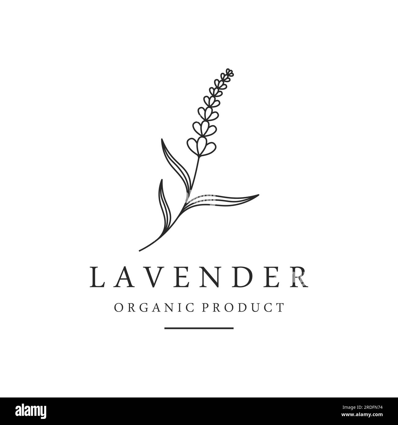 Lavender Flower Logo Vector Fresh Lavender Flower Logo Design Stock