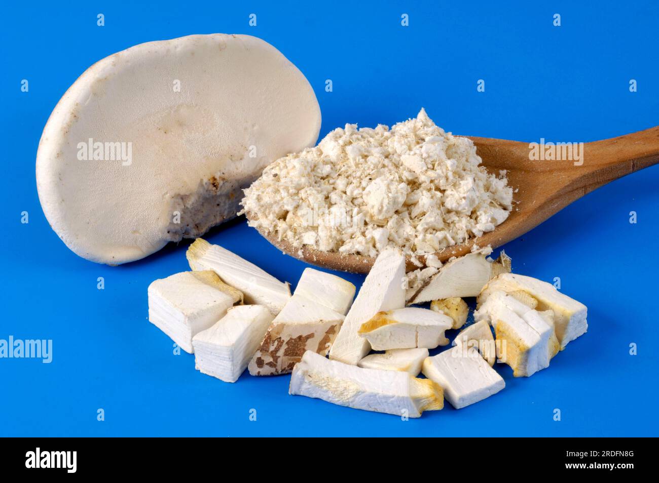 Birch polypore (Piptoporus betulinus), whole, pieces and powder, TCM ...