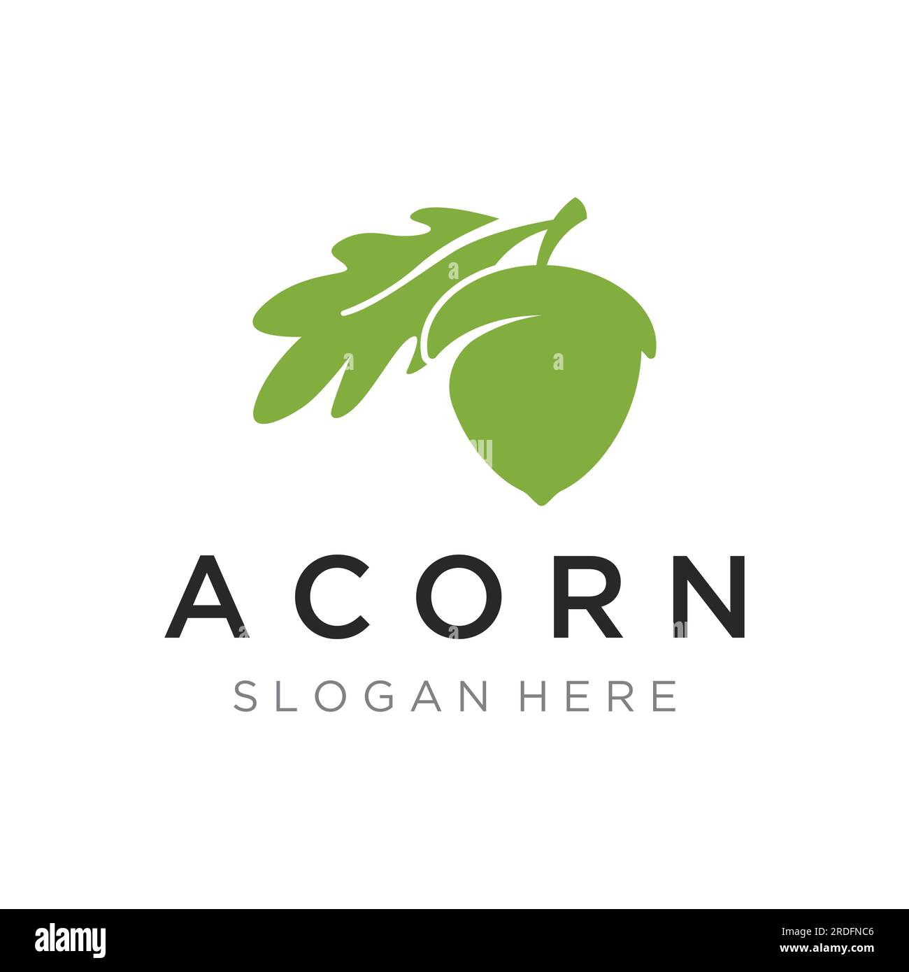 Acorn logo design with leaves with vector illustration editing Stock ...