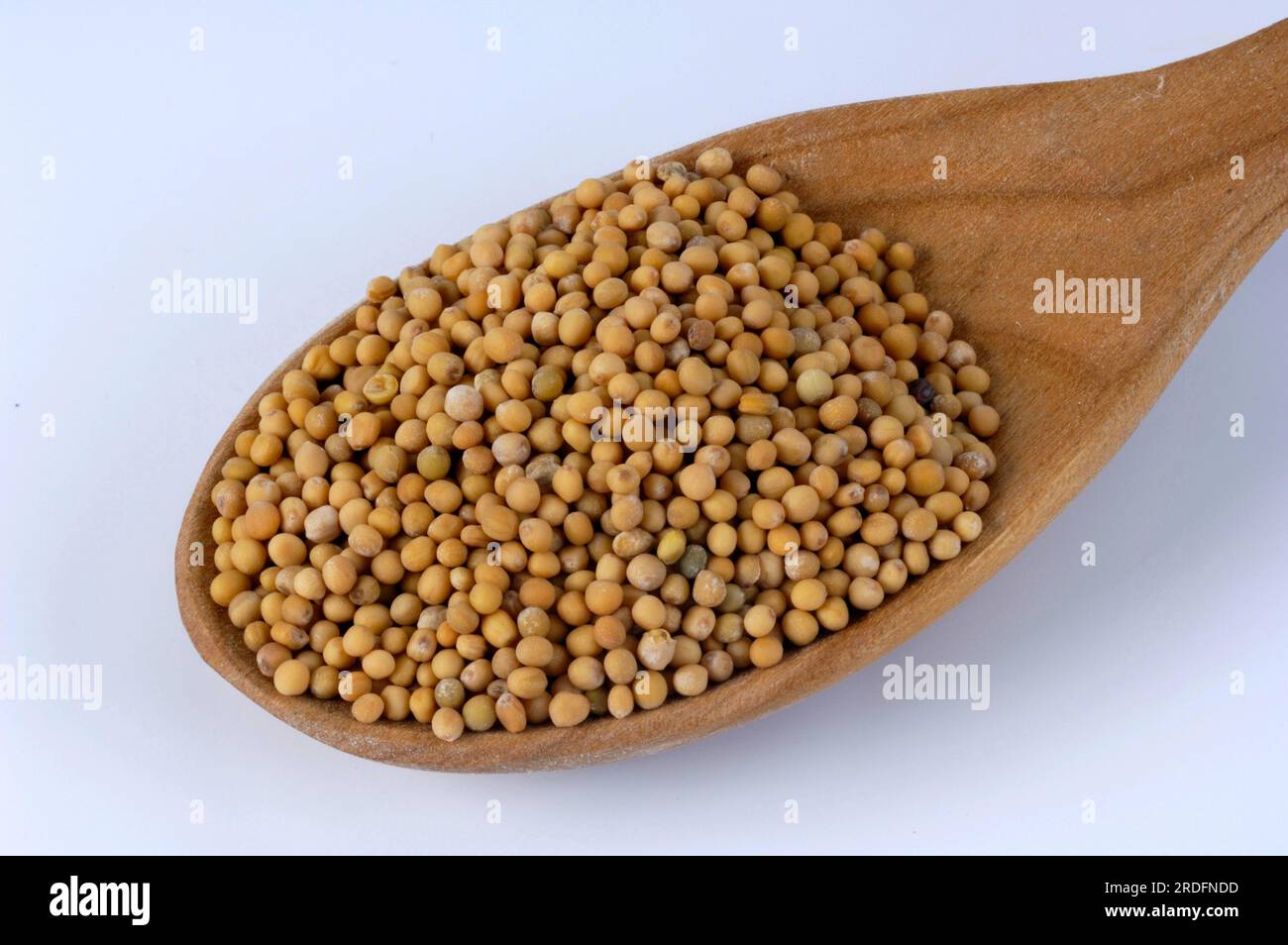White mustard seeds hi-res stock photography and images - Alamy