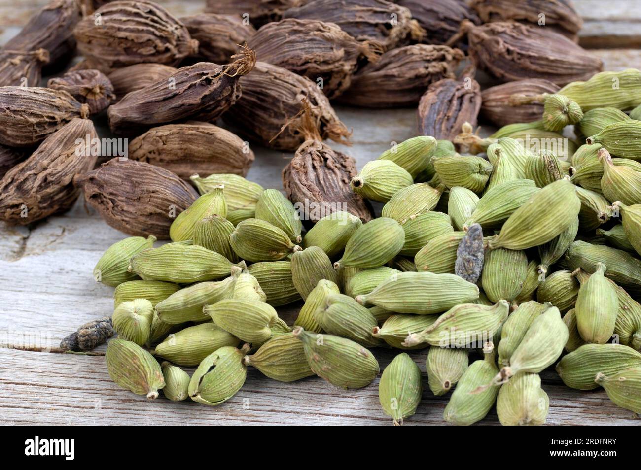 Cardamom, seed (Elettaria cardamomum Stock Photo - Alamy