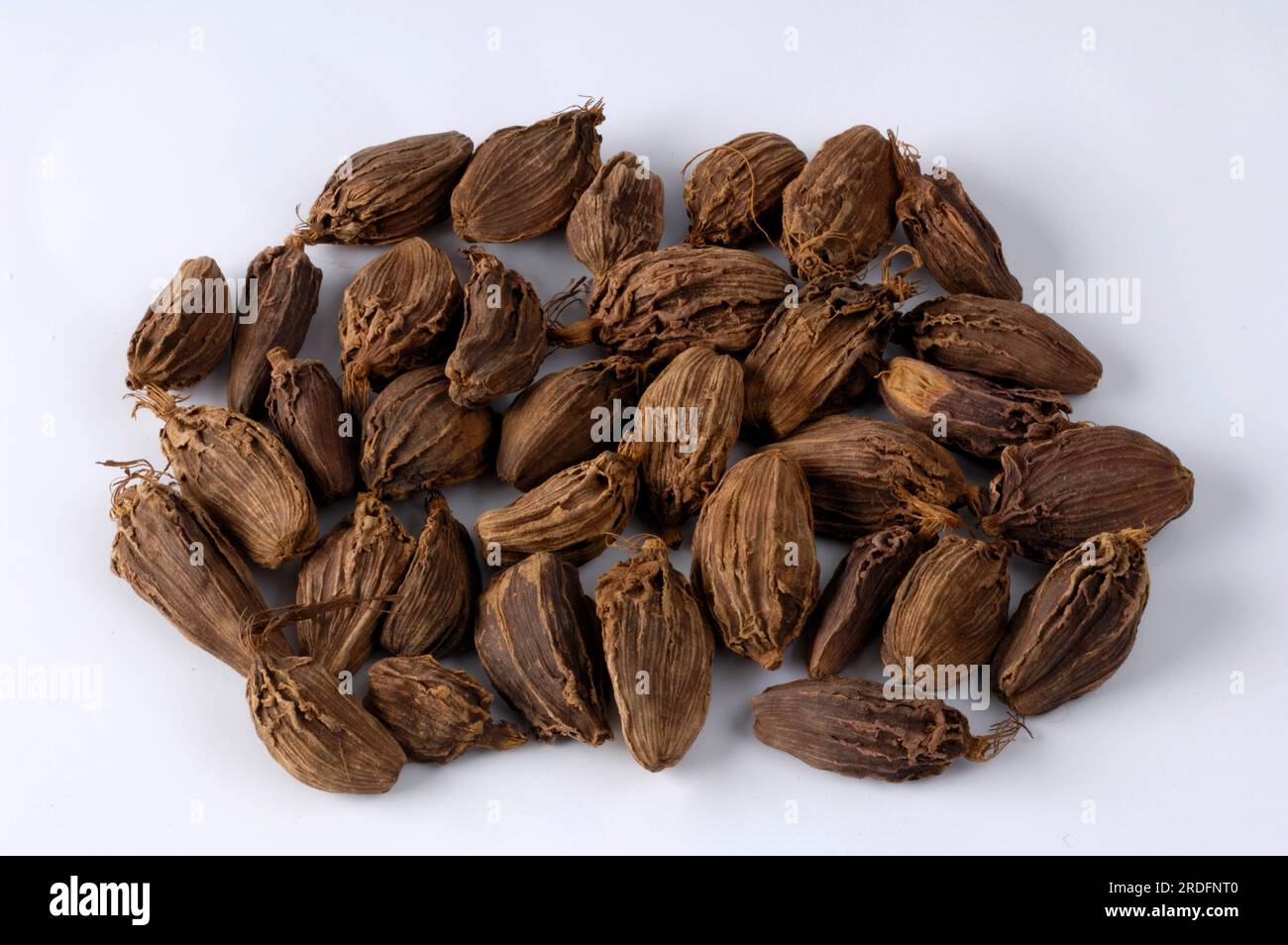 Cardamom, seed (Elettaria cardamomum Stock Photo - Alamy