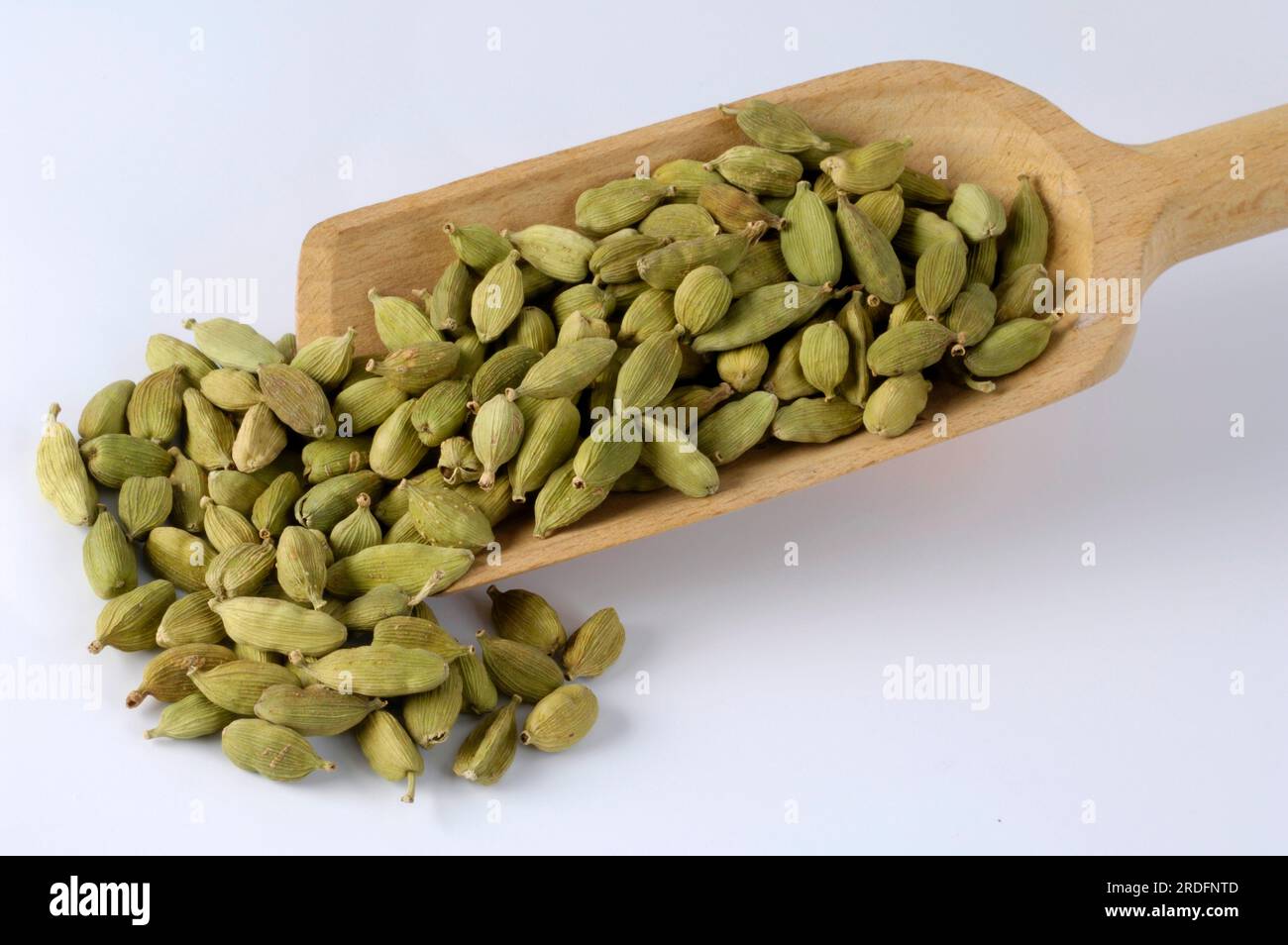 Cardamom, seed (Elettaria cardamomum Stock Photo - Alamy